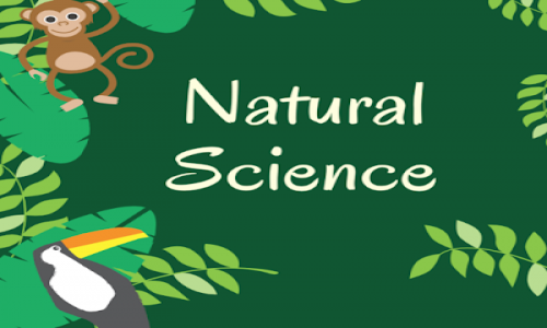 NATURAL SCIENCES | CEIP Las Castillas, Torrejón del Rey (Guadalajara) NATURAL SCIENCES | CEIP Las Castillas, Torrejón del Rey (Guadalajara)